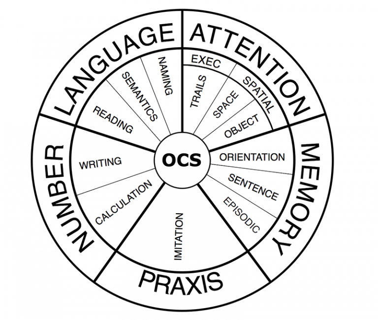 Cognitive Screening | Translational Neuropsychology - University of Oxford